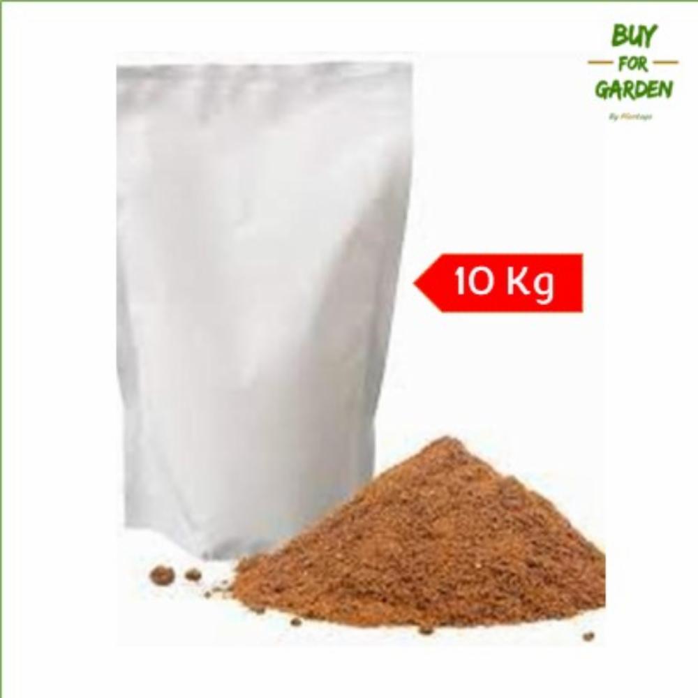 Buy Indoor Plants|Outdoor Plants & Garden Tools and Accessories Online ...