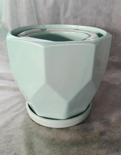 Buy Indoor Plants|Outdoor Plants & Garden Tools and Accessories Online ...