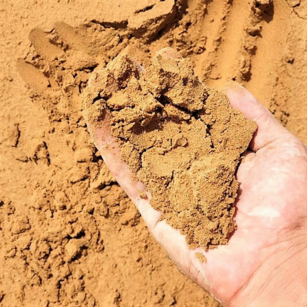 Buy Indoor Plants|Outdoor Plants & Garden Tools and Accessories Online ...